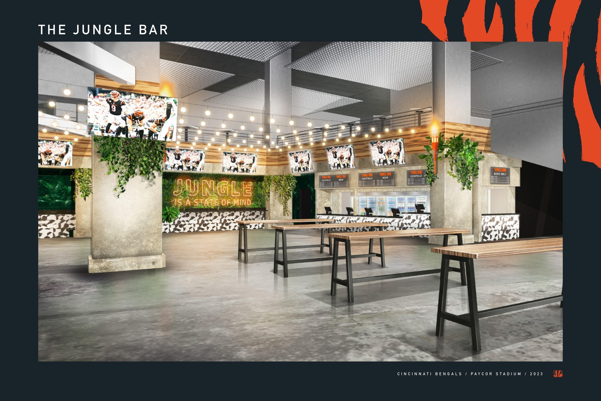New Look coming to Paycor Stadium - THE BENGALS FORUM - GO-BENGALS.COM ...