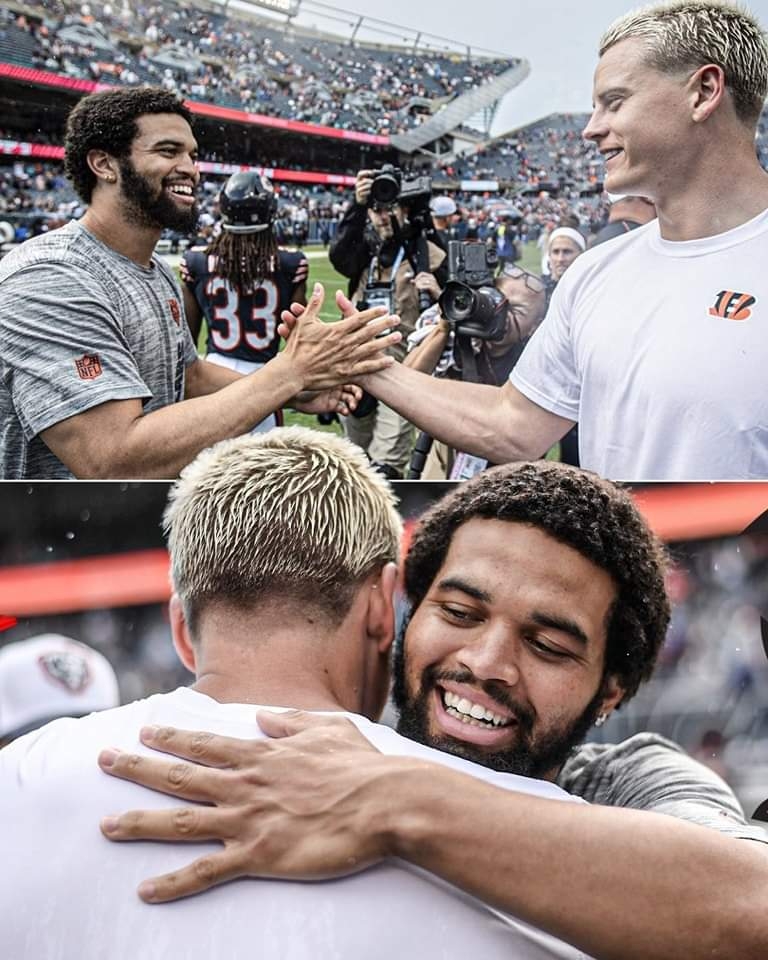 Bears vs Bengals ~ GameDey Thread (PS2) - Page 3 - THE BENGALS FORUM ...