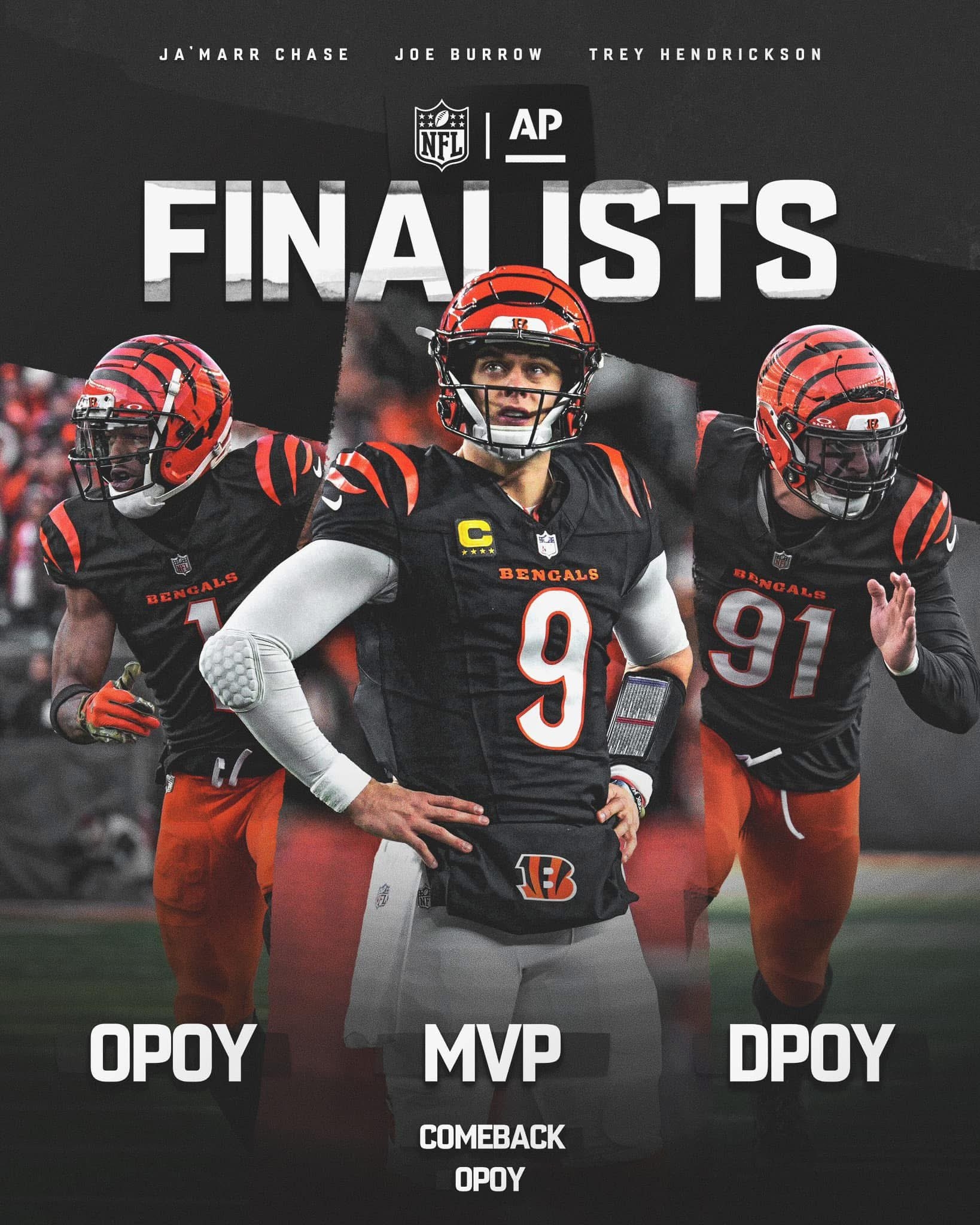 Random 2025 Bengals related stuff - Page 9 - THE BENGALS FORUM - GO ...