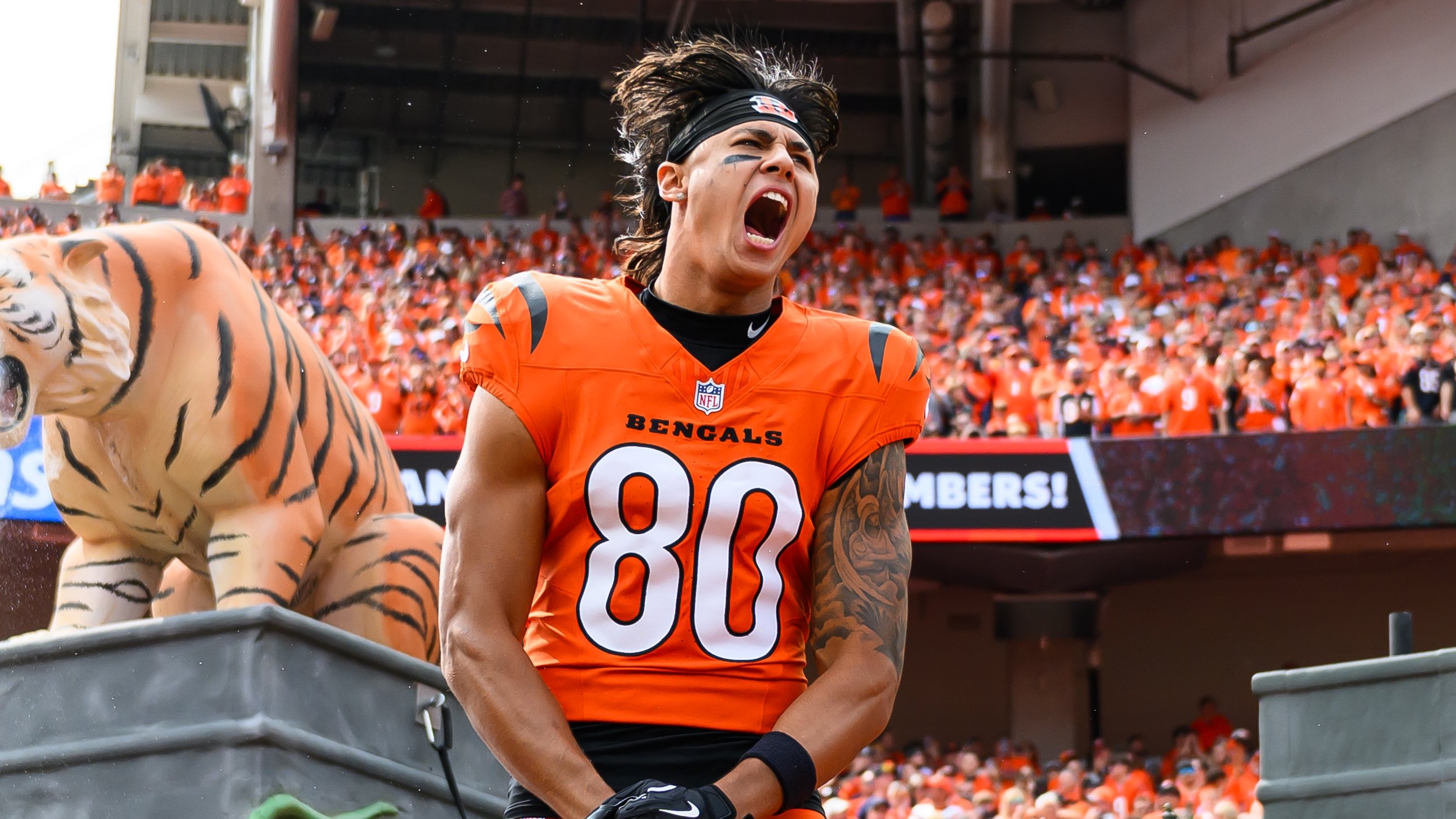 Random 2025 Bengals related stuff - Page 47 - THE BENGALS FORUM - GO ...