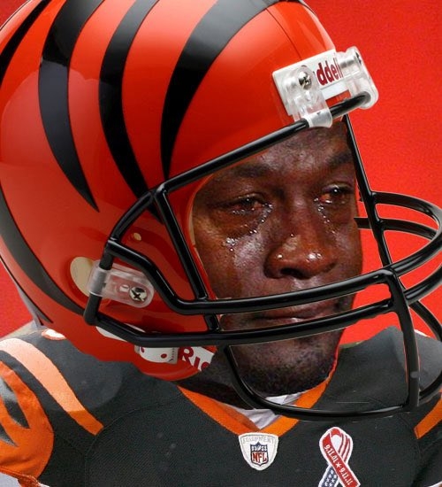 Bengals are 2-2, your thoughts? - THE BENGALS FORUM - GO-BENGALS.COM X ...